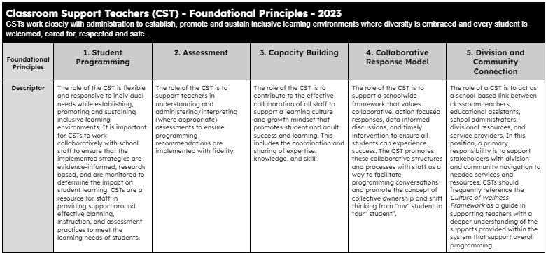 Classroom Support Teachers (CST)- Foundational Principles